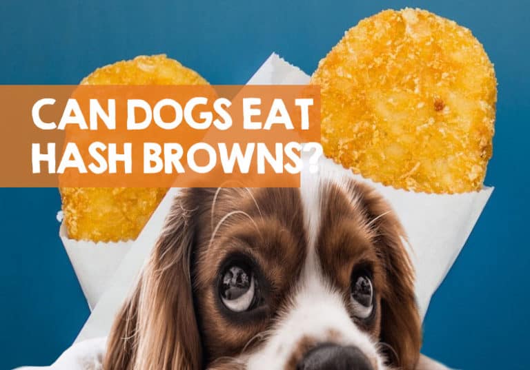 Can Dogs Eat Hash Browns? (Inc. McDonald’s or Frozen Ones?)