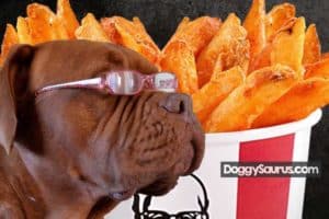 Can Dogs Eat KFC? (Dog-Friendly Kentucky Fried Chicken List)