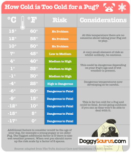 Pug Cold Weather Guide: How to Keep a Pug Warm in Winter