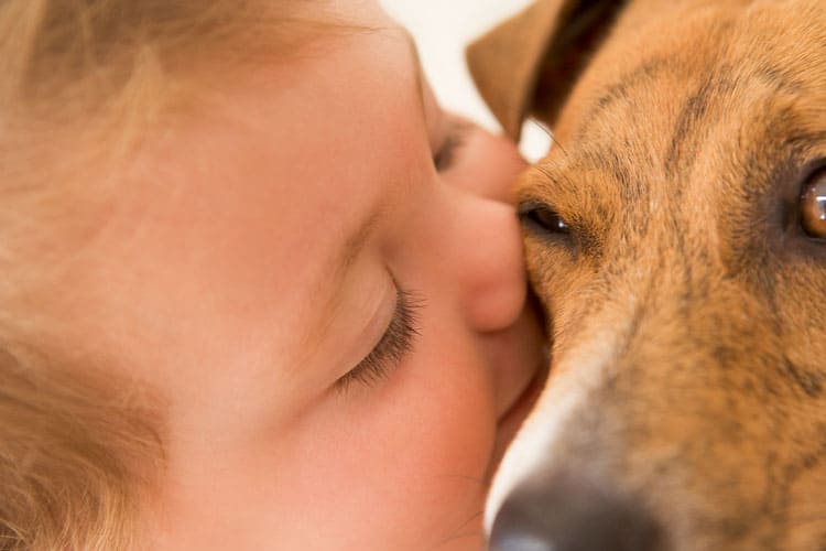 Is It OK For A Dog Lick A Baby Dog Saliva Is Harmful To Babies Is It OK For A Dog Lick A Baby Dog Saliva Is Harmful To Babies