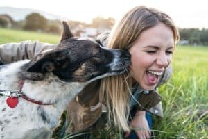 Why Does My Dog Lick My Arm So Much? 6 Reasons for the Lick