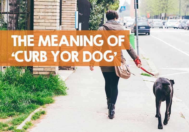 How Do You Curb A Dog