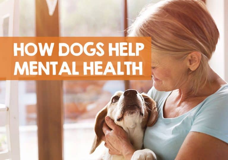 Can Dogs Improve Your Mental Health? (7 Ways Dogs Help)